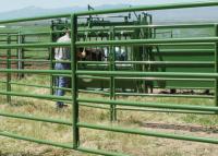 China Movable Cattle Corral Livestock Fence Panel For Changing Grazing Patterns for sale