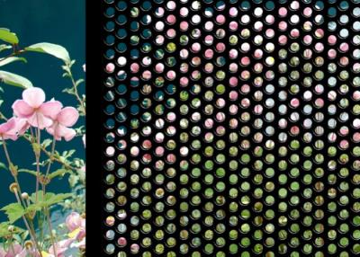 China Hot Dip Galvanized Perforated Metal Sheet 5mm Round Hole For Agricultural for sale
