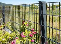 China High Security Double Wire Fence Panel Impact Resistant with Aesthetic Design for sale