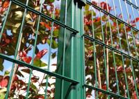 China PVC Coated 8/6/8mm Double Wire Fence with 50x200mm Mesh Hole for Secure Perimeter Protection for sale