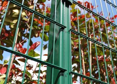 China PVC Coated 8/6/8mm Double Wire Fence with 50x200mm Mesh Hole for Secure Perimeter Protection for sale