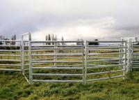 China Heavy Duty Horse Panels Livestock Fencing 2.1m for Livestock Sorting Cattle for sale