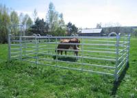 China Livestock Yard Panels Galvanized Livestock Fence for Farm Sorting Yards for sale
