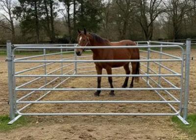 China Animal Enclosure Panels Hot Dipped Galvanized Livestock Fence Panels 1.9m 5 Rails Petting for sale