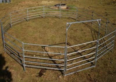 China Heavy Duty Horse Panels Livestock Fencing 2.1m for Livestock Sorting Cattle for sale