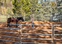 China Round Pen Panels Galvanized Cattle Panels for Horse Training 1.8*2.5m for sale
