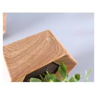 China Wall Planter for Indoor Plants DIY Vertical Wall Planters Flower Pots Hexagon Lightweight Hanging Planters Plants Decorative for sale