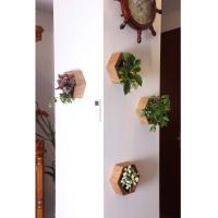 China Wall Planter for Indoor Plants DIY Vertical Wall Planters Flower Pots Hexagon Lightweight Hanging Planters Plants Decorative for sale
