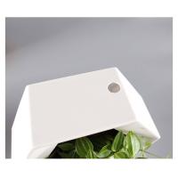 China Wall Planters for Indoor Plants DIY Vertical Wall Planters Flower Pots Hexagon Lightweight Hanging Planters Plants Decorative for sale