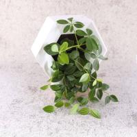 China Wall Planters for Indoor Plants DIY Vertical Wall Planters Flower Pots Hexagon Lightweight Hanging Planters Plants Decorative for sale