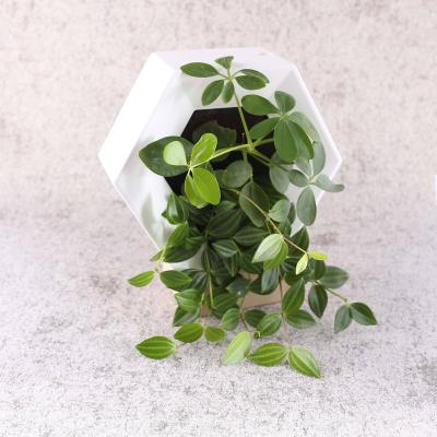 China Wall Planters for Indoor Plants DIY Vertical Wall Planters Flower Pots Hexagon Lightweight Hanging Planters Plants Decorative for sale