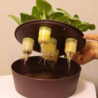 China Self Watering System for Potted Plants Automatic Water Suction Humidity Sensor Flower Pot Great for House,Office,Garden,Yard for sale