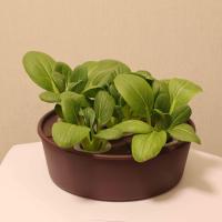 China Self Watering System for Potted Plants Automatic Water Suction Humidity Sensor Flower Pot Great for House,Office,Garden,Yard for sale