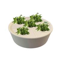 China Self Watering System for Potted Plants Automatic Water Suction Humidity Sensor Flower Pot Great for House,Office,Garden,Yard for sale