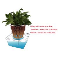 China Self Watering System for Potted Plants Automatic Water Suction Humidity Sensor Flower Pot Great for House,Office,Garden,Yard for sale