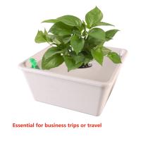 China Self Watering System for Potted Plants Automatic Water Suction Humidity Sensor Flower Pot Great for House,Office,Garden,Yard for sale