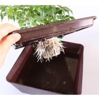 China Self Watering System for Potted Plants Automatic Water Suction Humidity Sensor Flower Pot Great for House,Office,Garden,Yard for sale