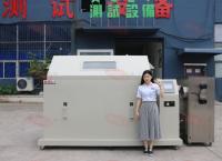 China Environmental Corrosion test chamber , Temperature Humidity Salt Spray Test Machine for sale