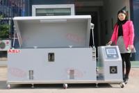 China ASTM B117 Salt Spray Test Apparatus For Electrical Component Parts for sale