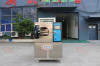 China Safety Pressure Accelerated Aging Test Chamber 300mm x 250mm Digital Temperature Controller LCD Screen for sale