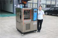 China Constant Temperature Humidity Environmental Cycle Resistance Test Chamber for sale
