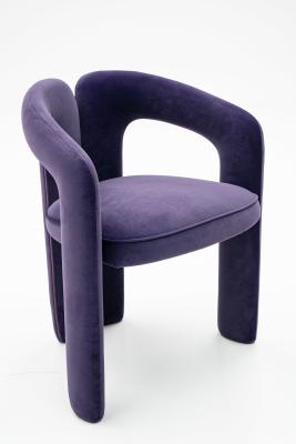 China Luxury Lounge Chair with Sculptural Continuous Frame for Modern Interiors for sale