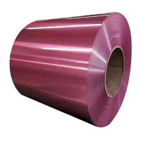 China 0.12-2.0 Thickness and Customizable Wooden Turkey Ppgi Color Prepainted Gi Steel Coil Customizable Length for sale