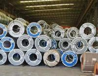 China Custom Size Hot Dip Galvanised Steel Strip Cold Rolled DX51 DX52 DX53 SPCC SGCC for sale