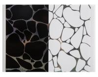 China Hot Stamping 250mm PVC Ceiling Panel to Decorate Kitchen Ceilings for sale