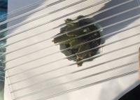 China Swimming Pool Transparent Roofing Sheets , Clear Roof Panels For Greenhouse 2.1 × 11.8m for sale