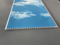 China Hot Stamping 250 × 7mm Ceiling PVC Panels With Blue Sky And White Clouds popular design pvc ceiling panels for sale