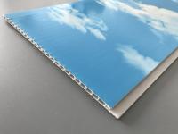 China Hot Stamping 250 × 7mm Ceiling PVC Panels With Blue Sky And White Clouds popular design pvc ceiling panels for sale