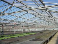 China Clear Corrugated Polycarbonate Panels Corrugated Skylight Panels corrugated translucent roofing sheets for sale