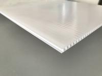 China Professional Opal White Polycarbonate Roofing Sheets For Natatorium Coverings for sale