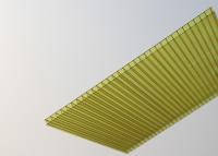China Two Layer Polycarbonate Flat Roof Panels , Makrolon Polycarbonate Plastic Sheet for sale