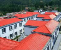 China Experience the Durability and Aesthetics ASA Synthetic Resin Tile for sale