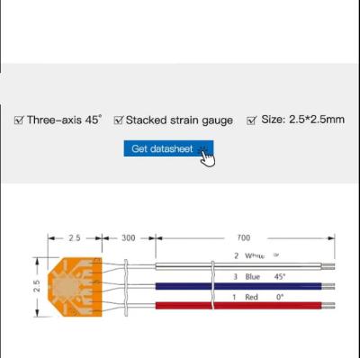 China Ruijia 2.5×2.5mm Bridge Strain Gage Sensor with 120Ω Resistance and Temperature Self-Compensation for sale