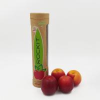 China Custom Design Cylinder Box Kraft Paper Tube Empty Cans For Powder Food Packaging Cardboard Tube Packaging for sale