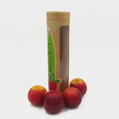 China Custom Design Cylinder Box Kraft Paper Tube Empty Cans For Powder Food Packaging Cardboard Tube Packaging for sale