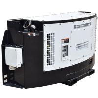 China Reefer Container Three-Phase Power Output Temporary Cold Storage Reefer Container Genset for sale