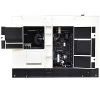 China Diesel Standby Generator Rated Current 34.64A Diesel AC Generator Portable Silent Diesel Generator for sale