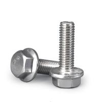 China Metric Stainless Steel Hex Cap Serrated Flange Bolt With Nuts for sale