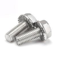 China Metric Stainless Steel Hex Cap Serrated Flange Bolt With Nuts for sale