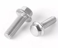 China Metric Stainless Steel Hex Cap Serrated Flange Bolt With Nuts for sale