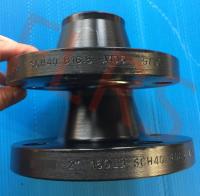 China Forged Carbon Steel Welding Neck Flange Raised Face ASME B16.5 150LB to 3000LB for sale