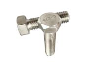 China C276 Hastelloy Hex Head Bolt Corrosion Resistant Natural Finish Custom Non Standard M6-M30 for sale