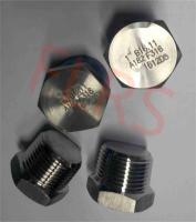 China Stainless Steel Threaded Hexagon Head Plug A182 F316 ASME B16.11 1/4-4 Inch 6000LB for sale