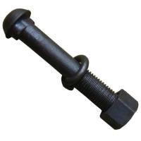 China Round Head Rail Fish Bolt DIN 5903-1 / ASME B18.10 - M12-M24 Size, 45-145mm Length Railway Fasteners for sale