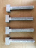 China Customized T Head Bolt Grade 4.8 Hot Dipped Galvanized M6 to M52 Carbon Steel for sale