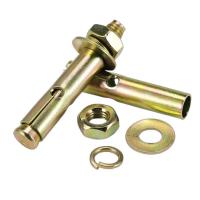China Carbon Steel Zinc Plated Sleeve Expansion Anchor Bolt M6-M20 with Hex Nut and Washer for sale